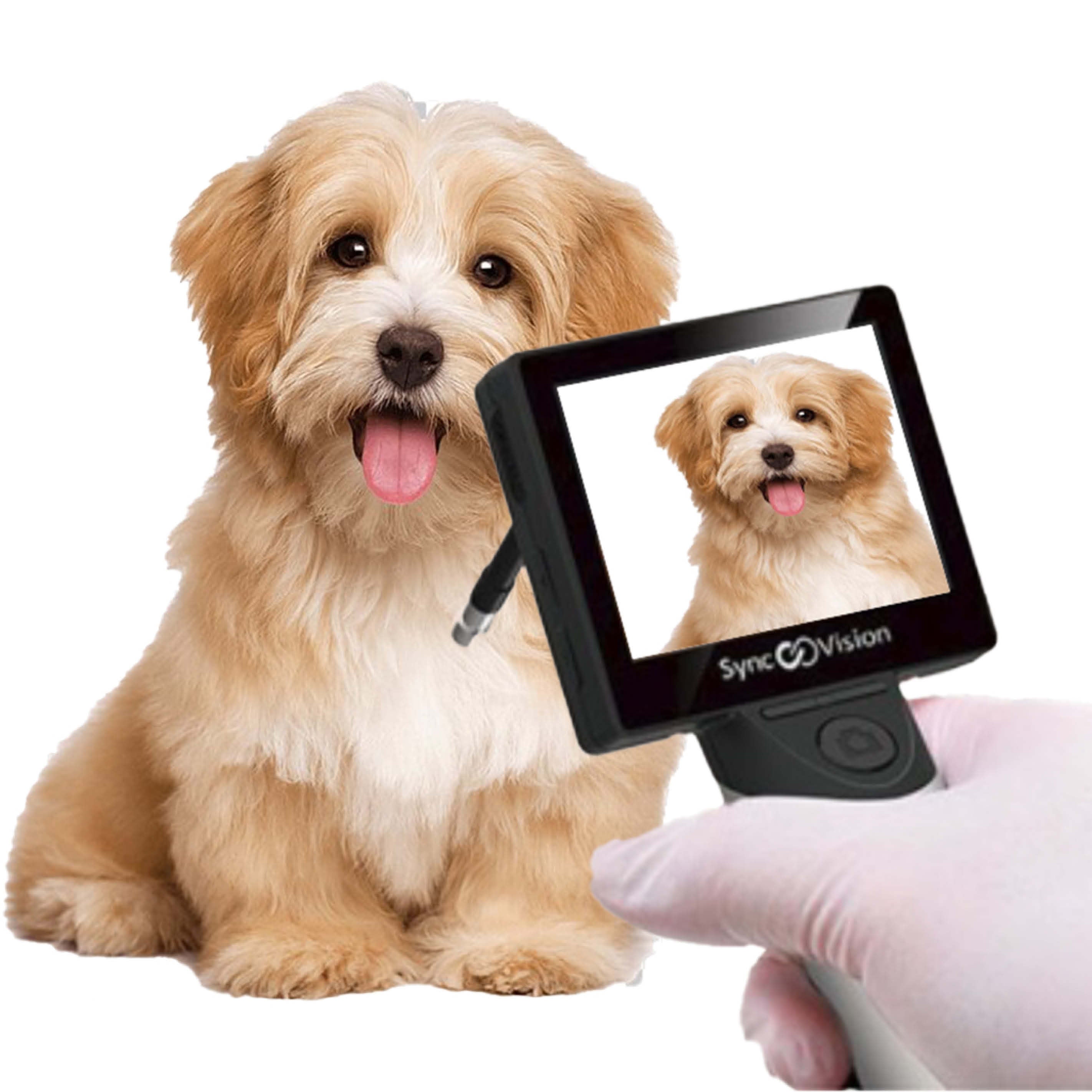 Vet Endoscopes