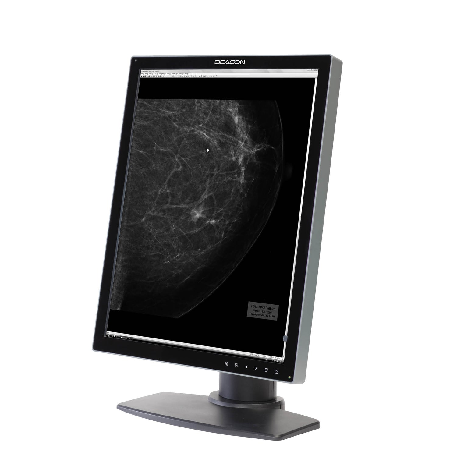Beacon Endoscopy & Surgical Monitors