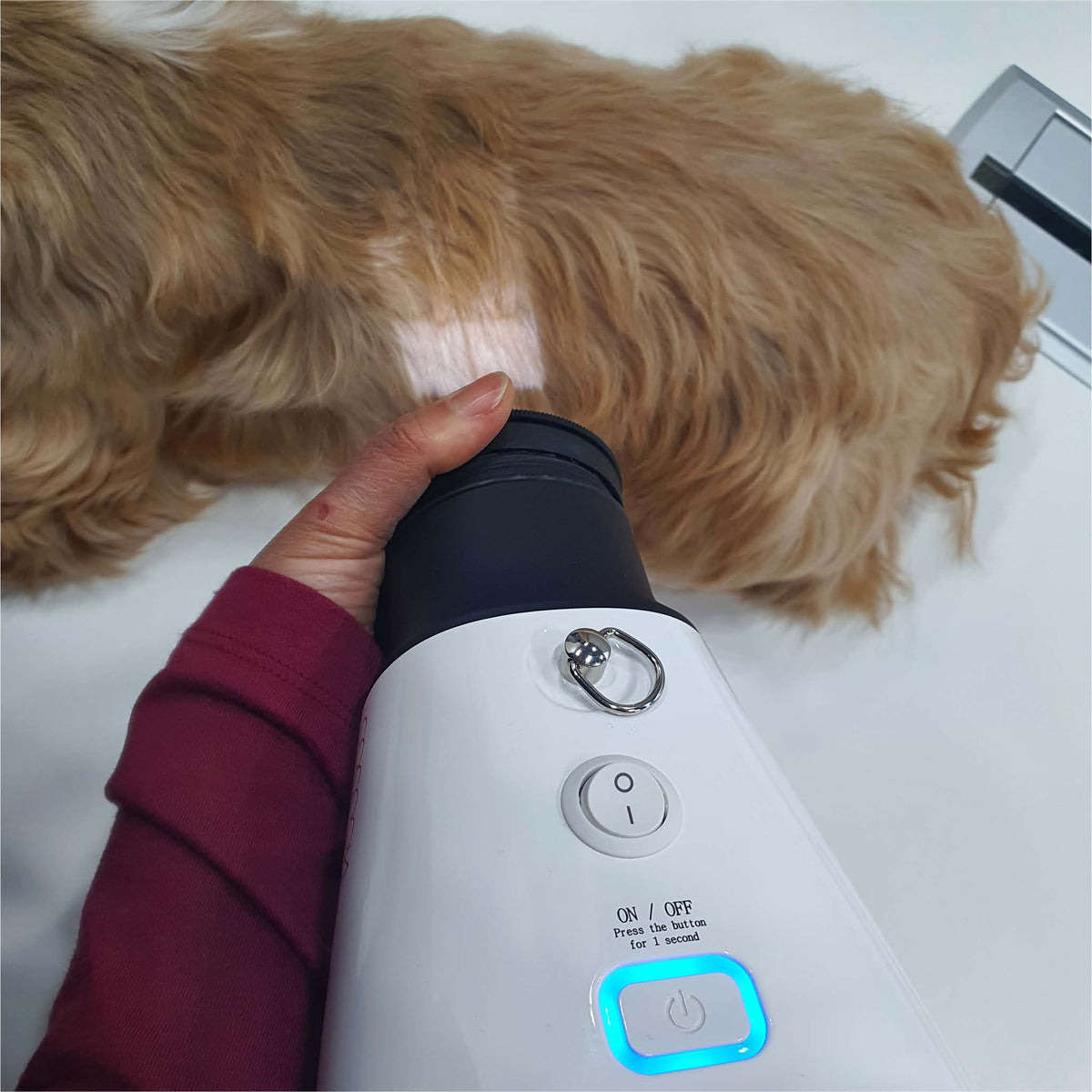 Dexcowin COCOON Handheld Vet X-ray